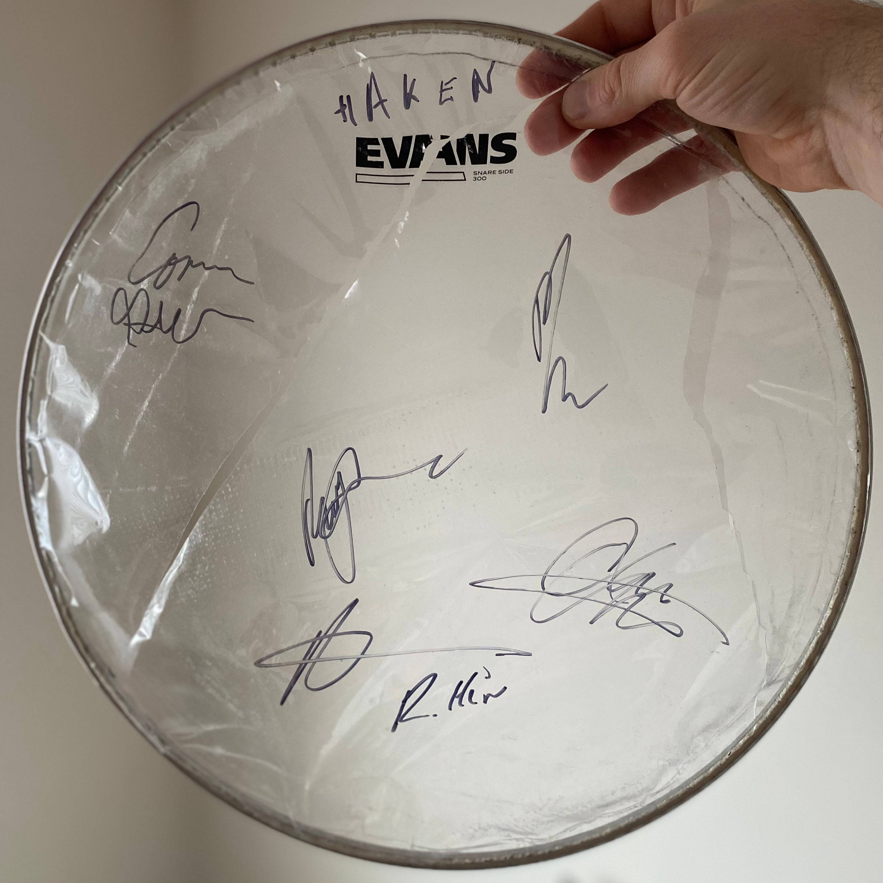 Signed 14" Clear Snare-side Head, used on 'Fauna' – Ray Hearne