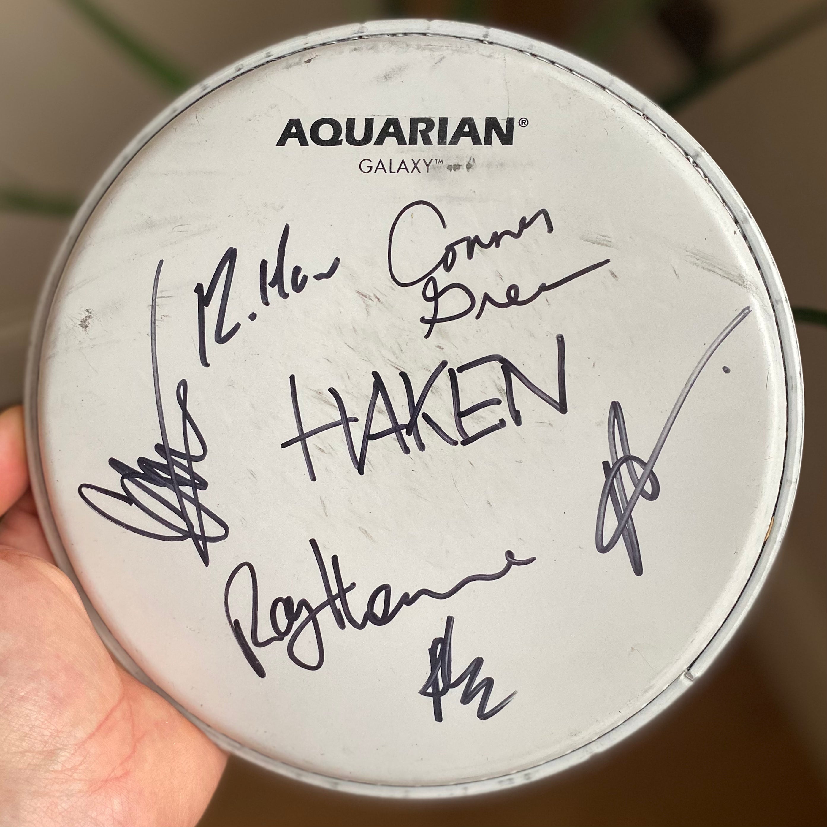 Signed 8" Coated Tour Head – Ray Hearne